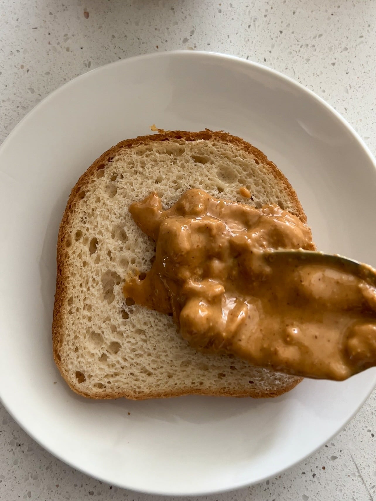 Fried Peanut Butter and Jelly Sandwich - Peanut Butter and Jilly